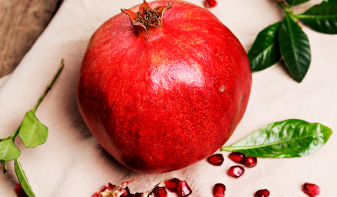 Productos – Masojo Corp.